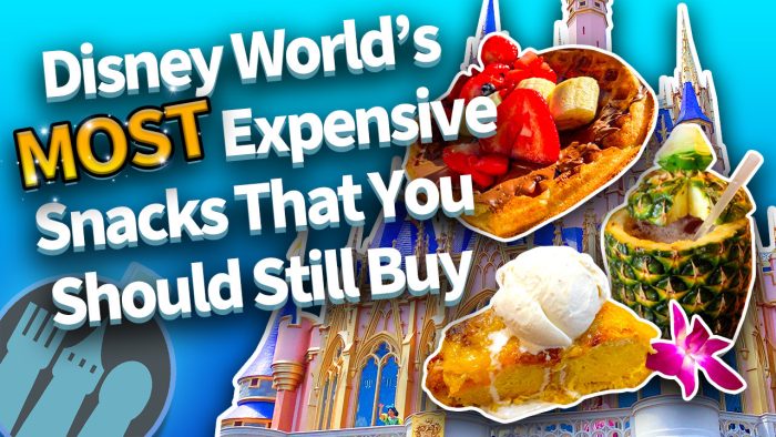DFB Video: Disney World's MOST Expensive Snacks, That You Should Still ...
