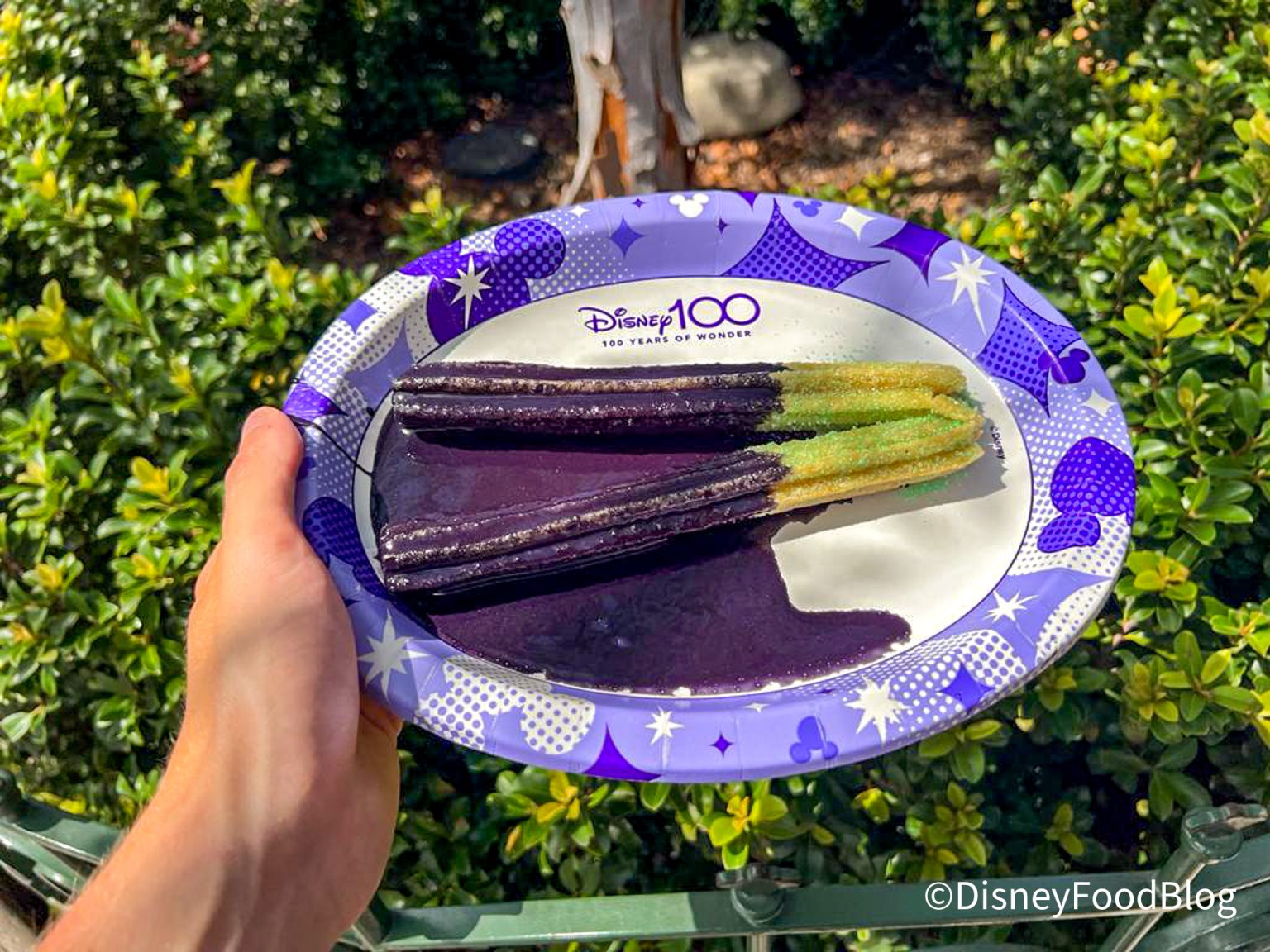 REVIEW: This Disney Churro Looks GROSS…Should You Get It Anyway? | the ...