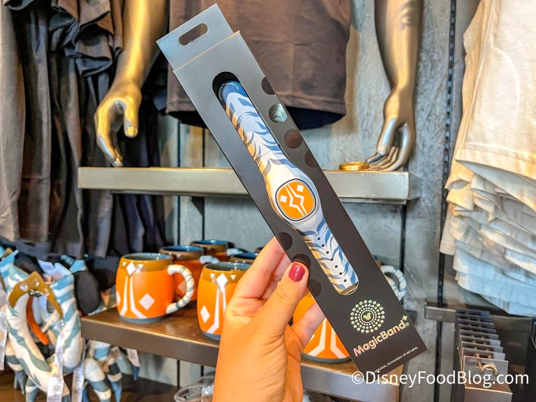 4 Things I Wish I Knew Before Paying $60 for a MagicBand in Magic ...