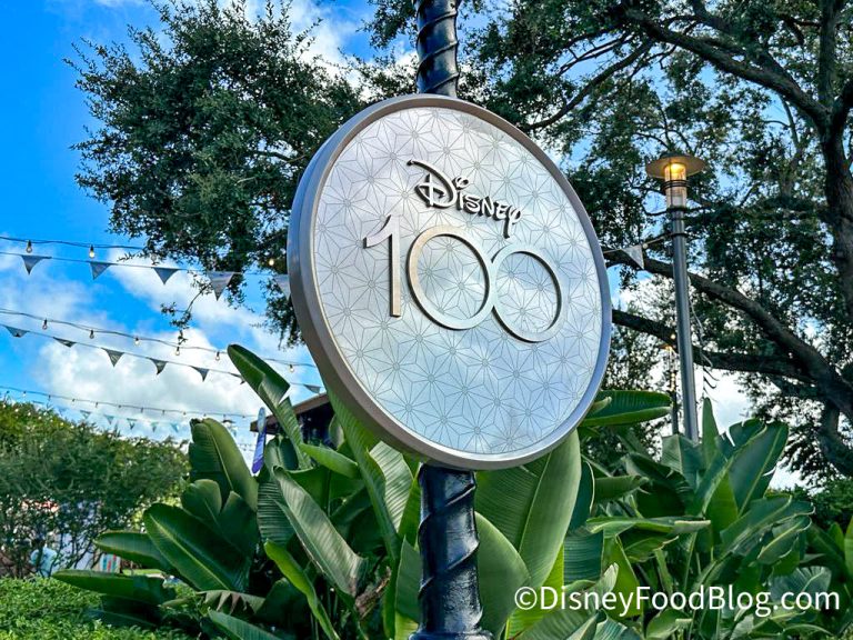 There Are NEW 100th Anniversary Magic Shots in Two Disney World Parks ...