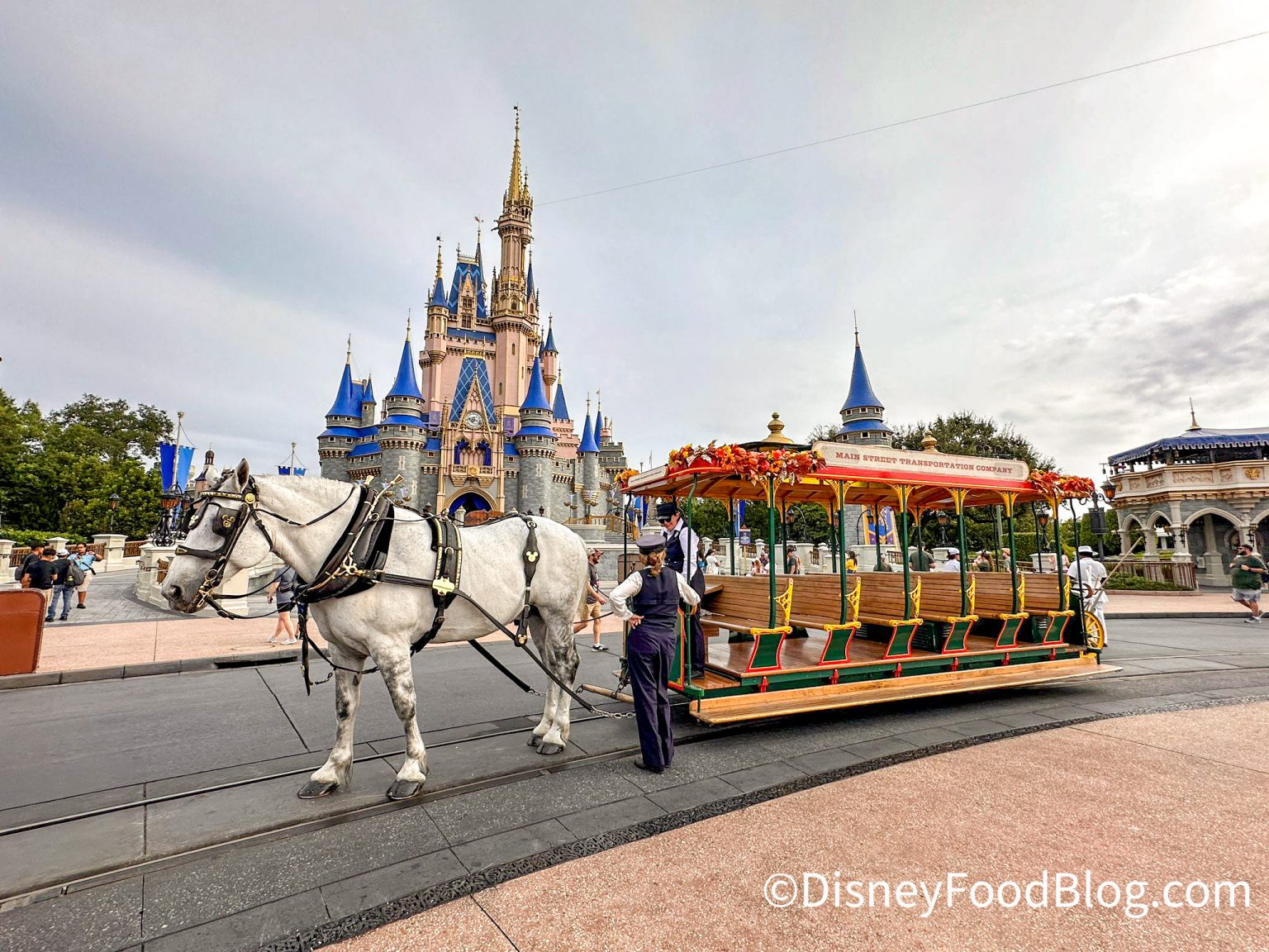 7 Rides Disney World Pros SKIP in Magic Kingdom | the disney food blog