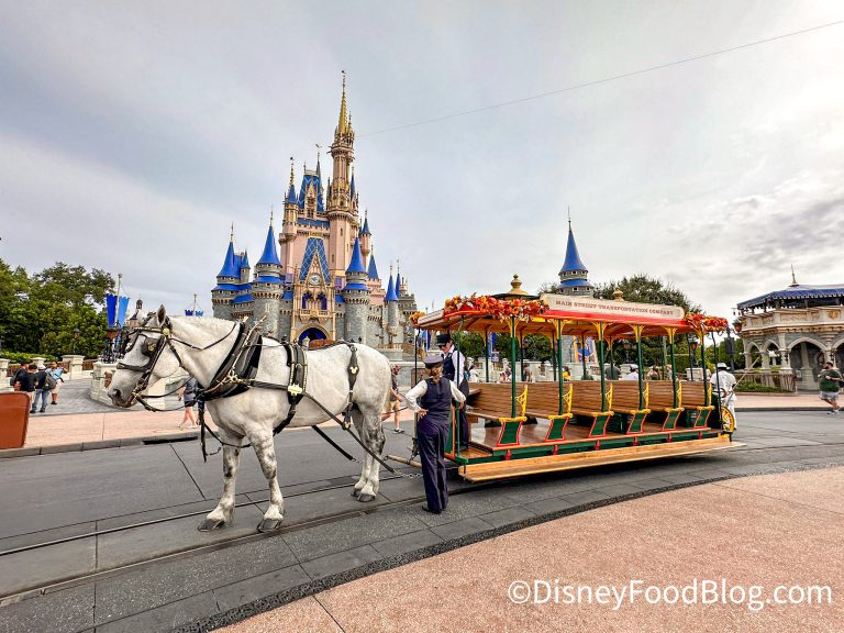 7 Rides Disney World Pros SKIP in Magic Kingdom | the disney food blog