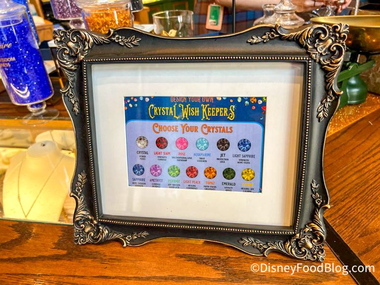 Check Out the NEW Customizable Souvenir in Magic Kingdom! | the disney ...
