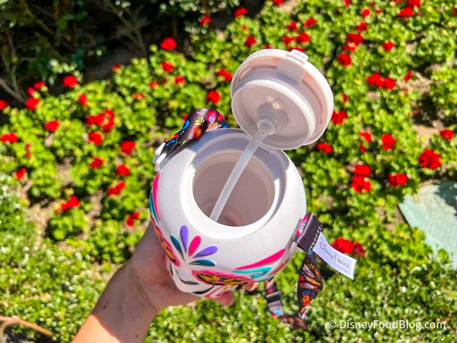 Trust Us — You'll Want To See Disney's NEW 'Coco' Souvenir! | the ...
