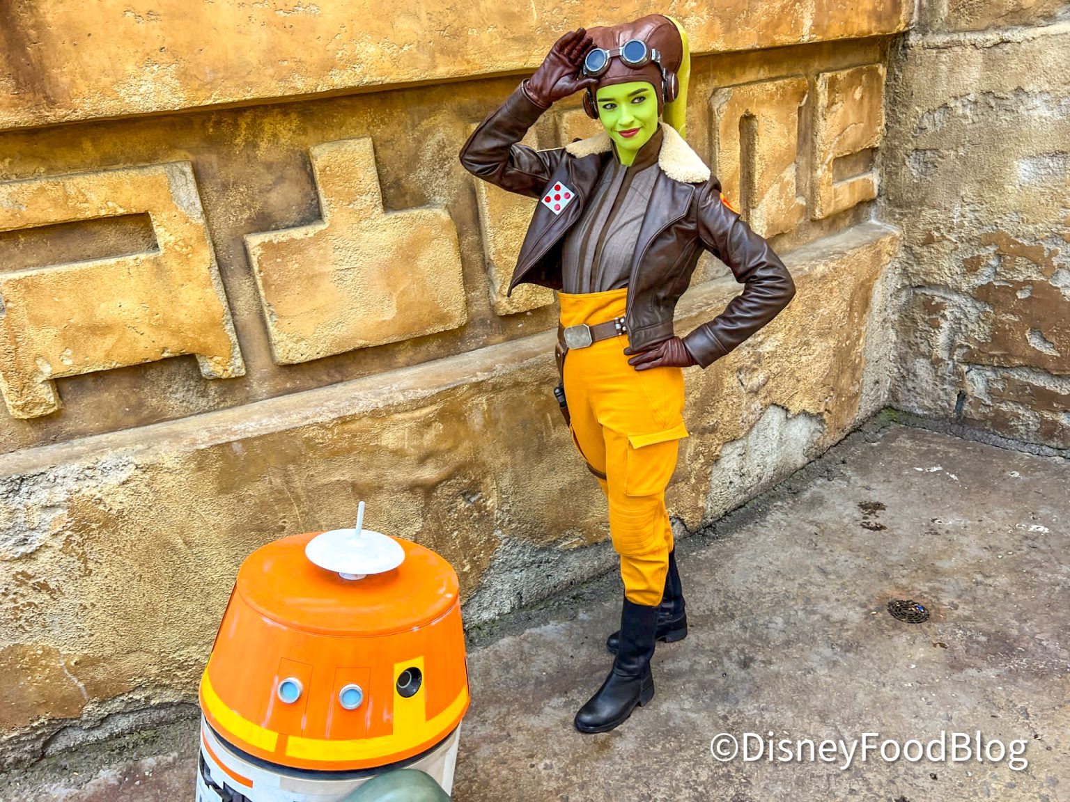 Come With Us To Meet The Two NEWEST Characters in Disneyland! | the ...