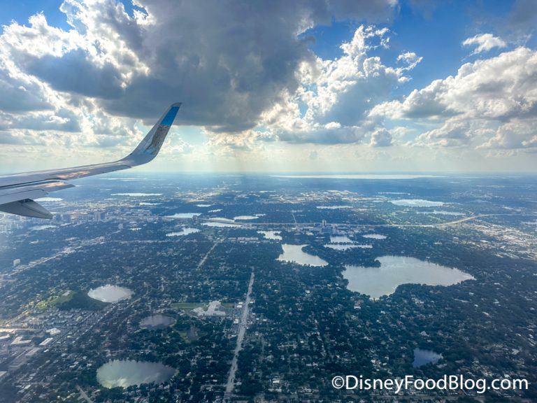 5 Things I Wish I Knew Before Waiting 45 Minutes in Line at the Orlando ...