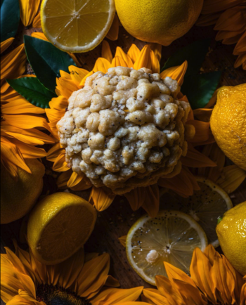 HURRY! TWO Limited-Time Cookies Are Coming to Gideon's Bakehouse in ...
