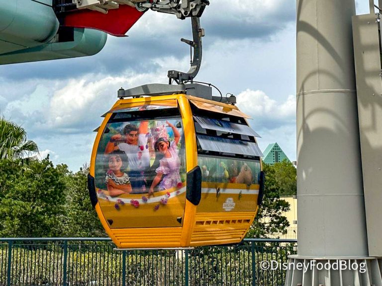 Here's What You'll Find in the Disney World Skyliner Emergency Kits ...