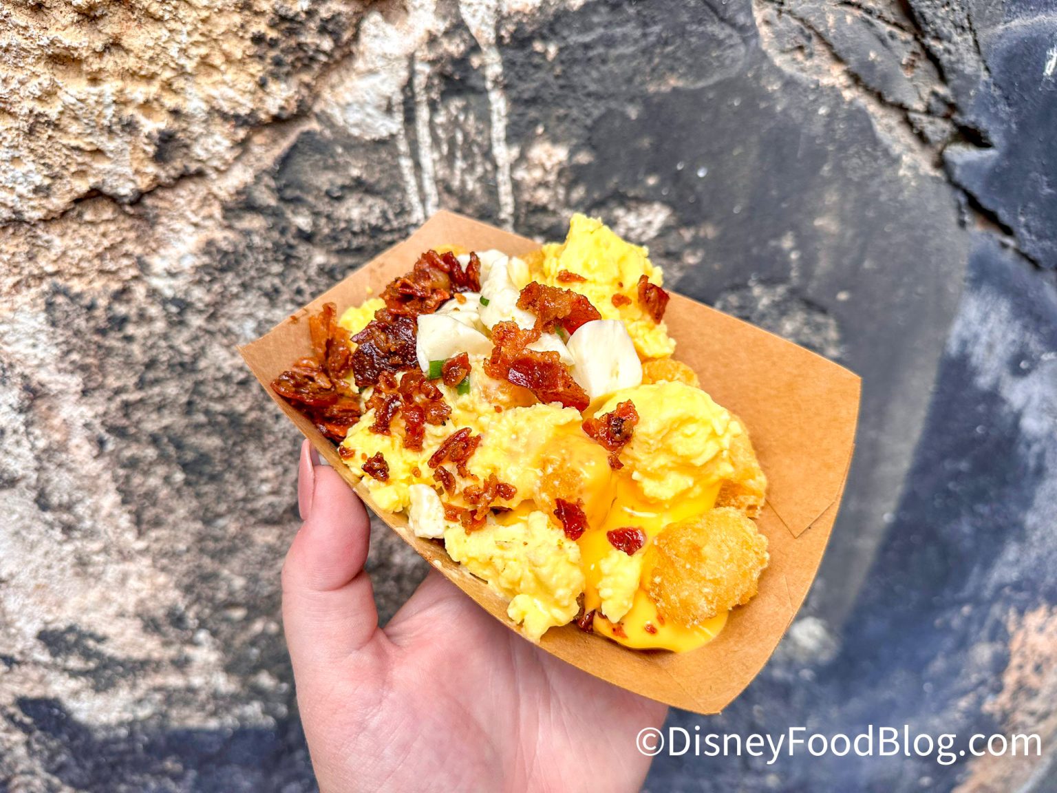REVIEW: Did This NEW Breakfast in Disney World Just Dethrone Totchos ...