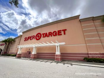 6 Target Products That Will Make Your Disney World Vacation 10X Easier ...