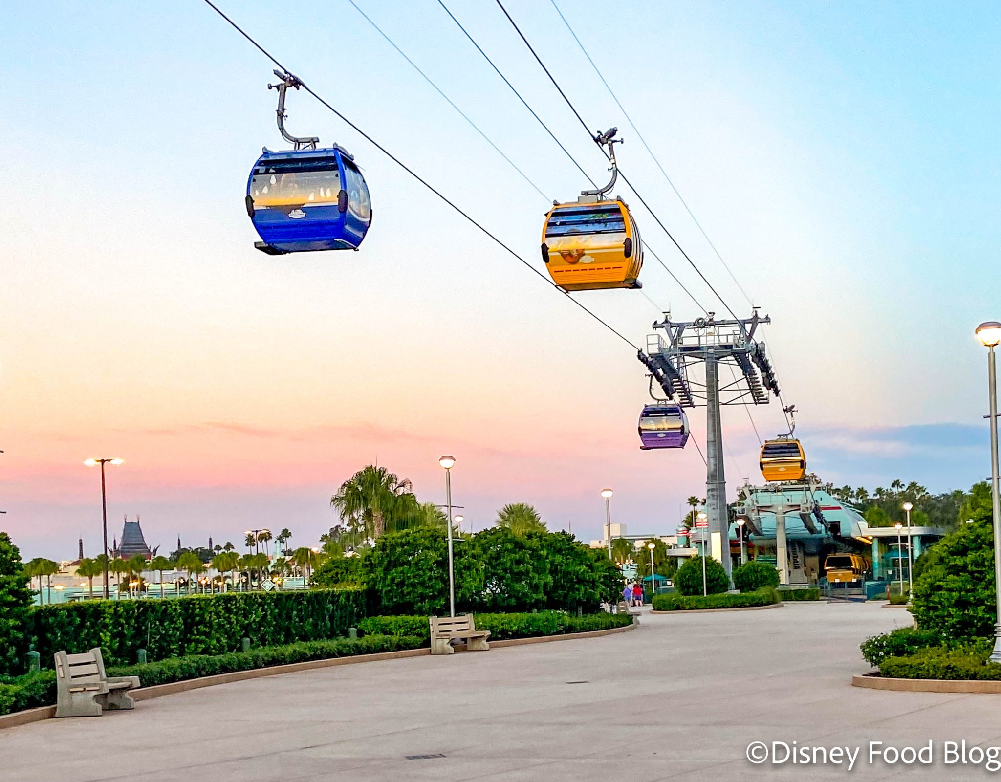 Disney World Transportation RULES You Need To Know Before Your Trip ...