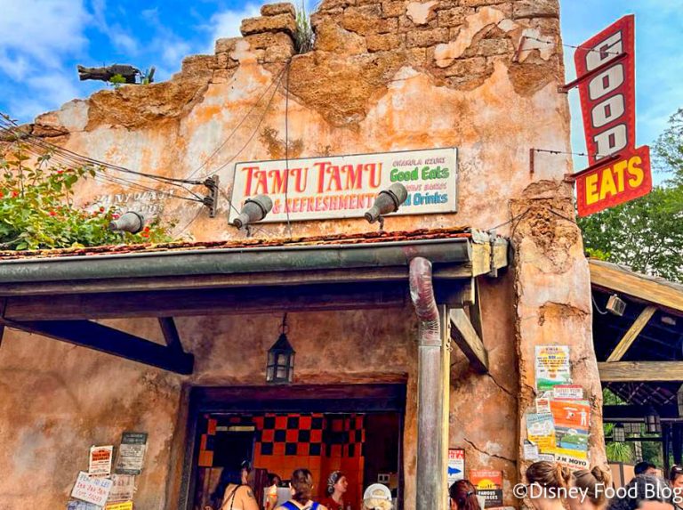 9 NEW and AMAZING Things You Can Get for a Snack Credit with the Disney ...