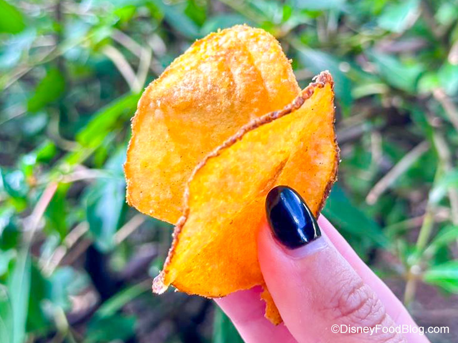 REVIEW: The Good, The Bad, and The Ugly About Disney World's NEW Eats ...