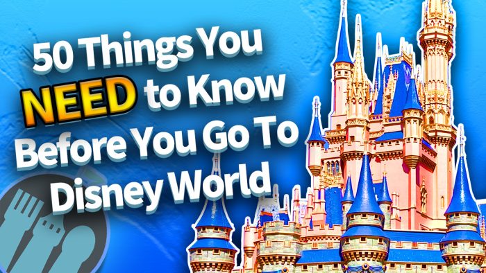 DFB Video: 50 Things You Need To Know Before You Go to Disney World ...