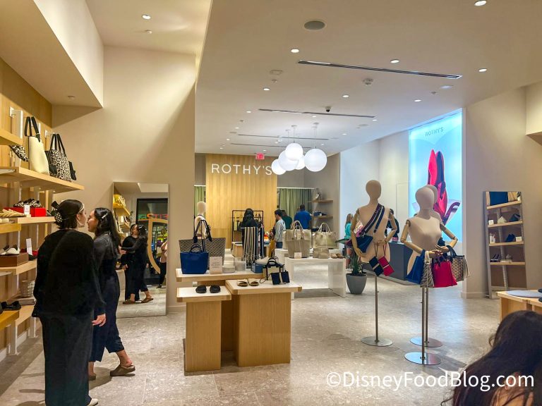 Welp, There Goes Our Paychecks. A Disney Springs Store Has Reopened ...