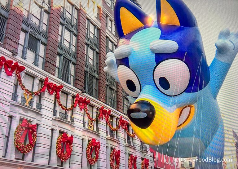 10 NEW 'Bluey' Episodes Are Coming to Disney+ TOMORROW — Is This the ...