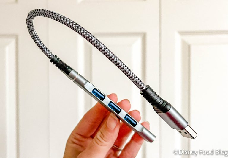 The $18 Item You Can't Forget for Disney World This Year | the disney ...