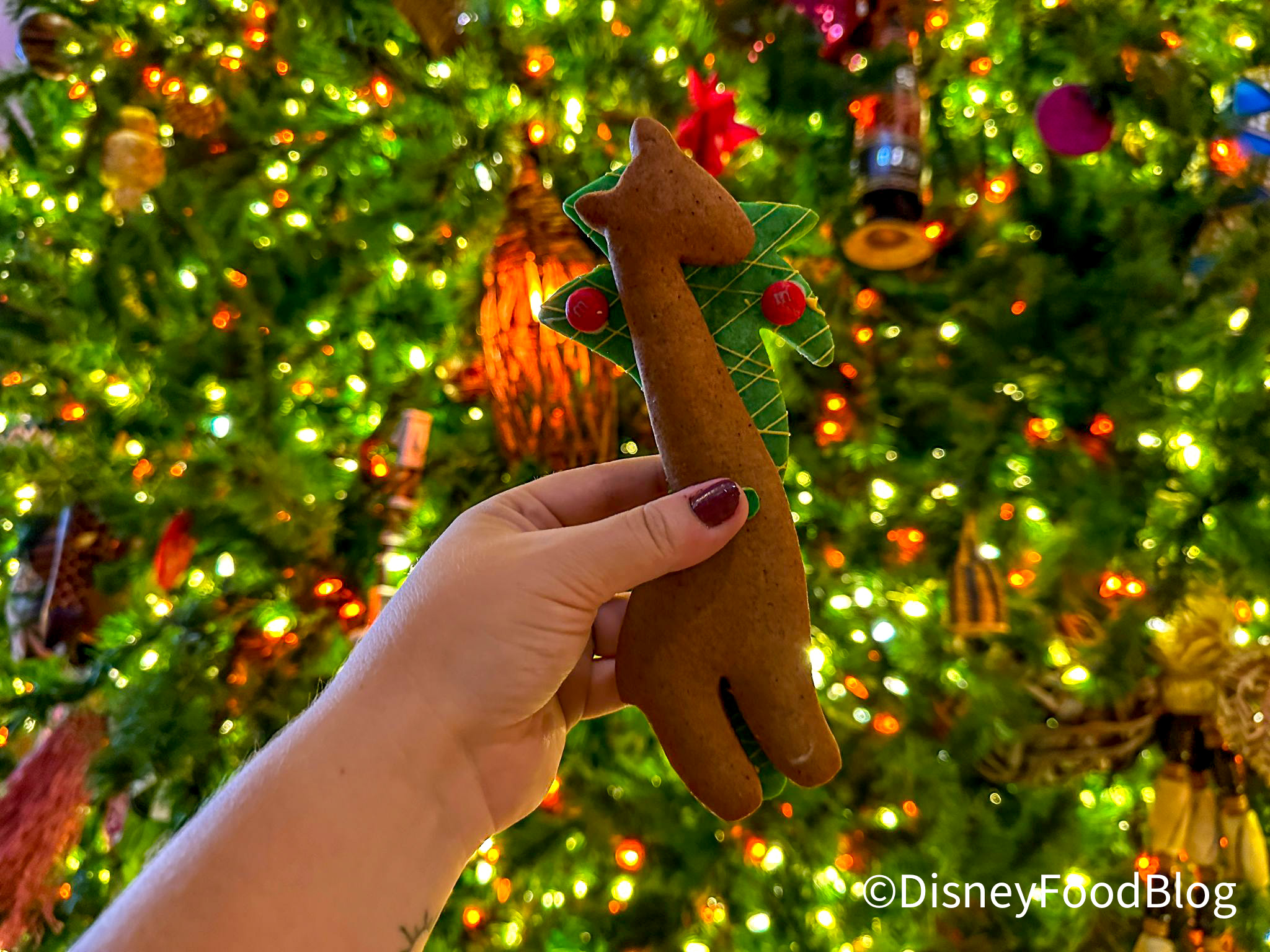 CONFIRMED: NEW Gingerbread Displays Are Coming to Disney World This ...