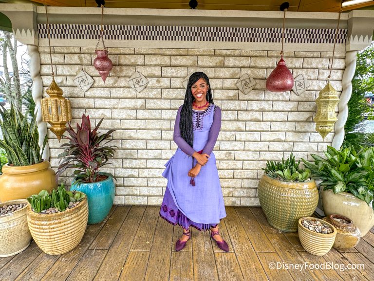 Where to Find All the Disney Character Meet-and-Greets in Walt Disney ...