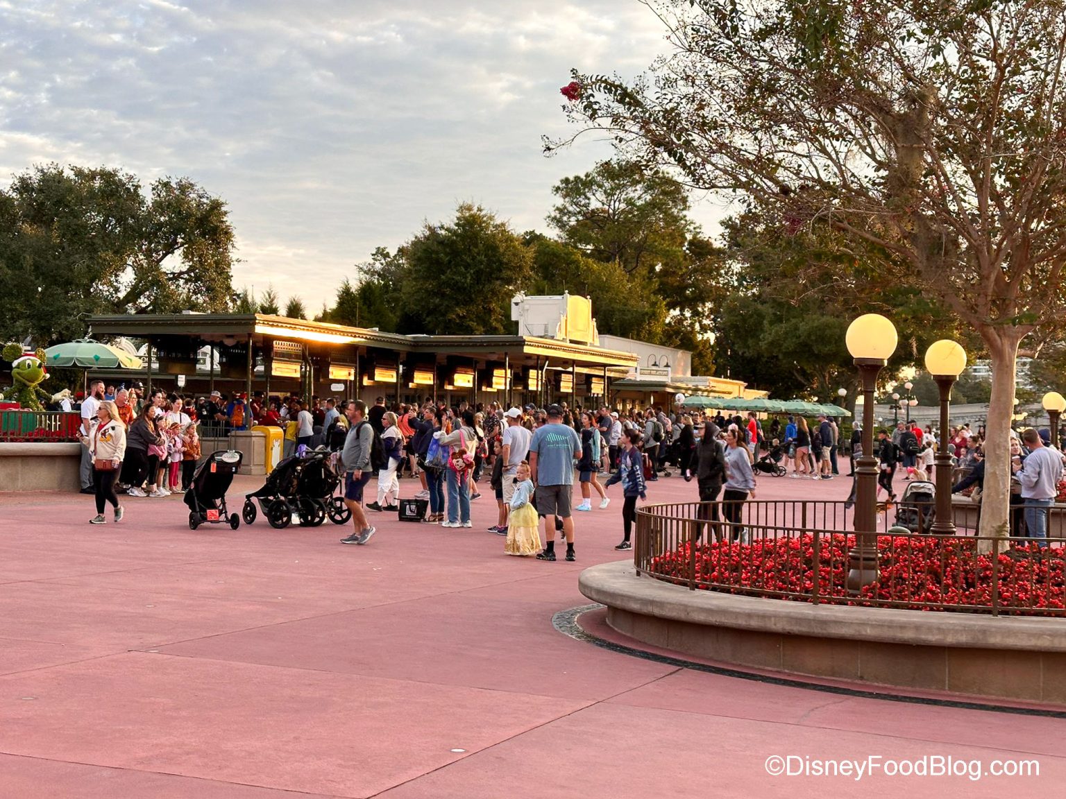 You Have to See the Thanksgiving Day CROWDS in Disney World! | the ...