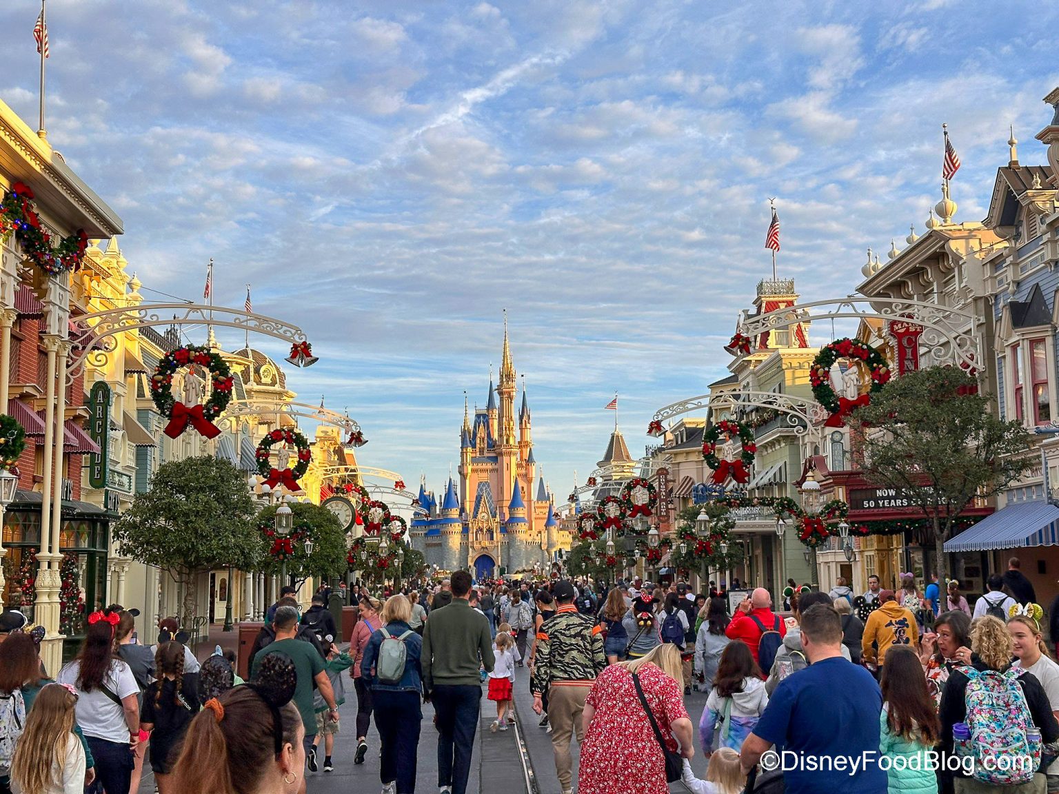 You Have to See the Thanksgiving Day CROWDS in Disney World! | the ...