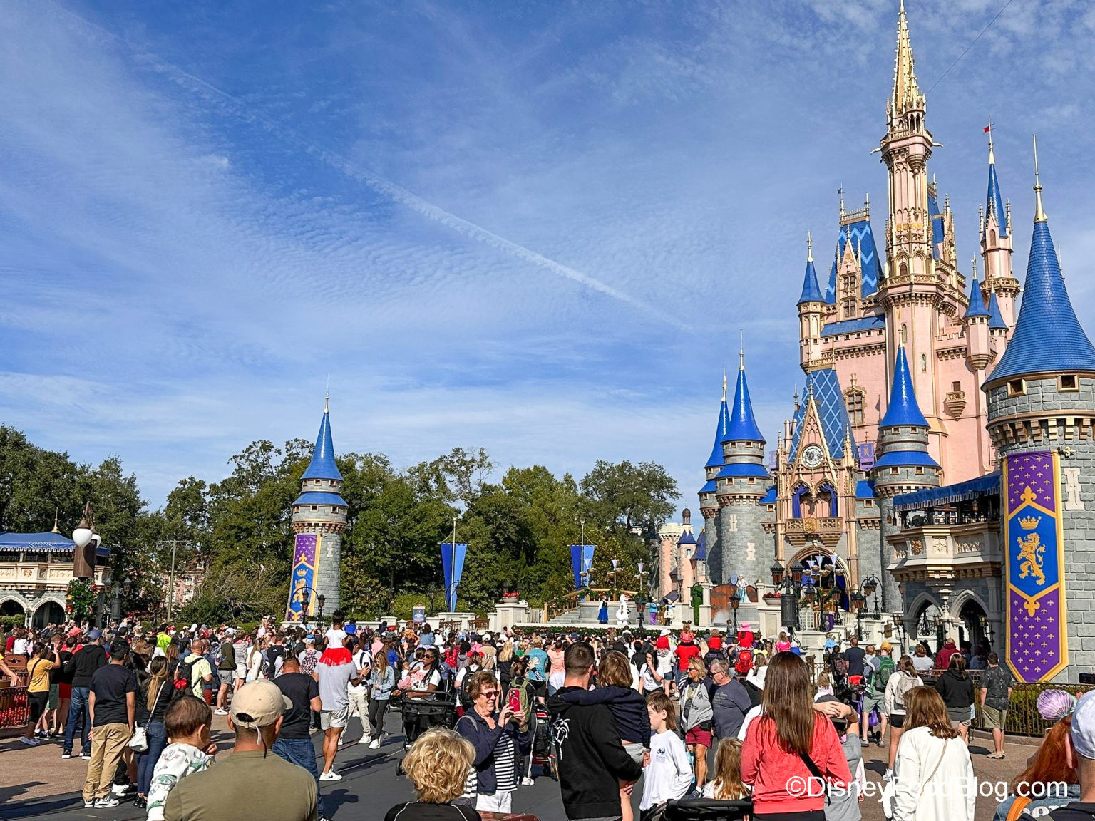 THIS Is Why We Warn You About Holiday Weeks in Disney World… | the ...