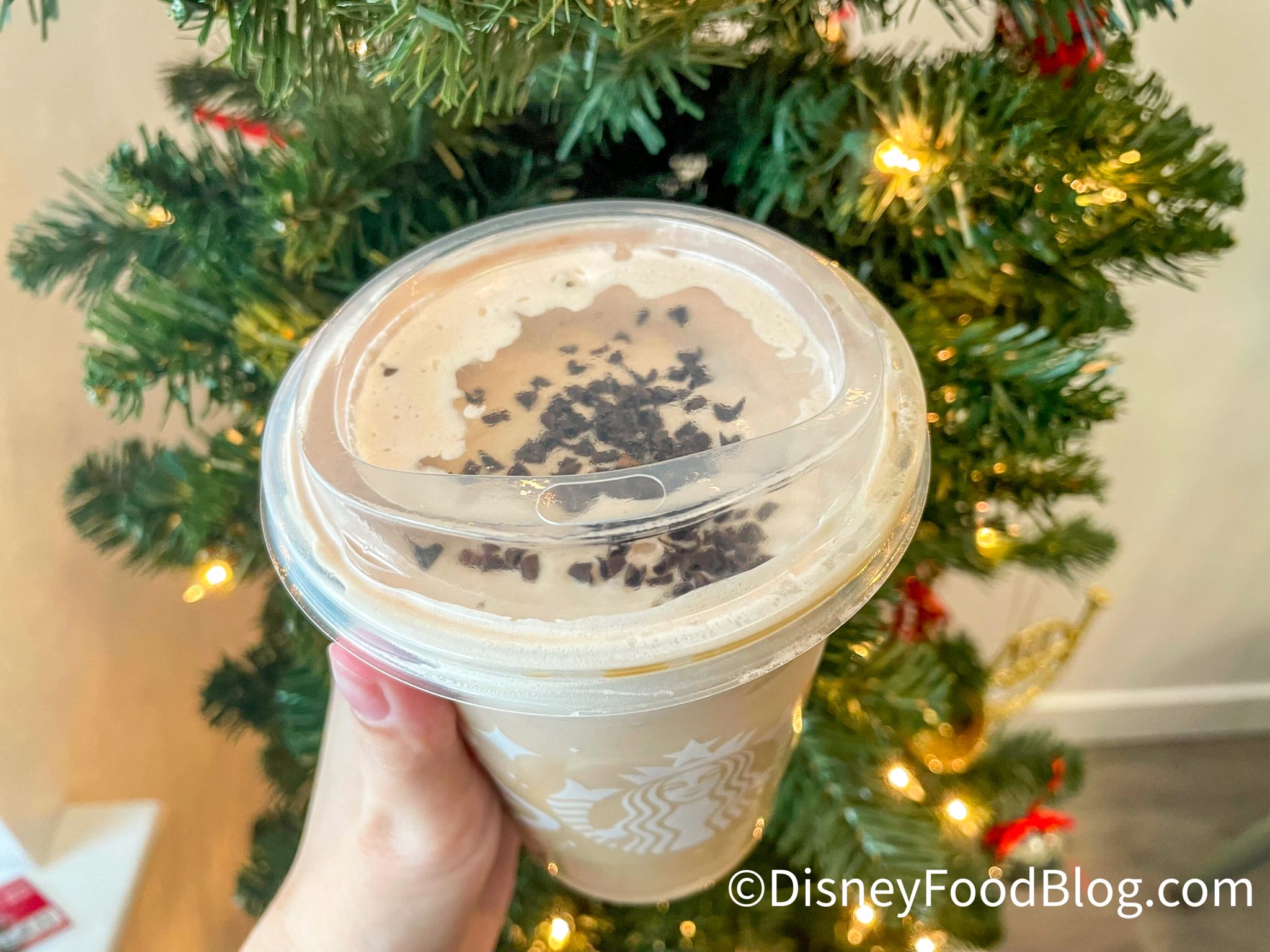 WEIRD Things That Happen When You Try To Get Starbucks in Disney World ...