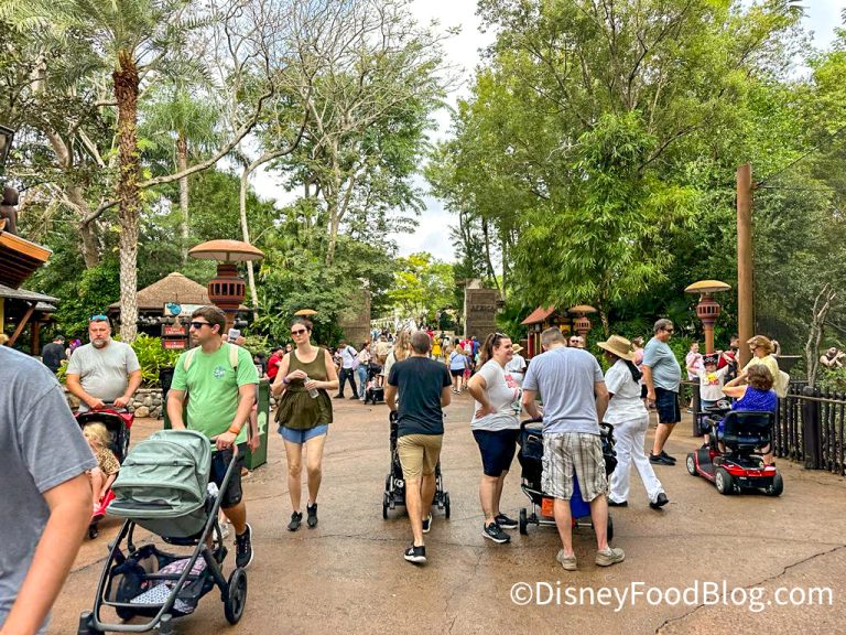 Surprise: Disney World Is Already WAY TOO Crowded For a Day This Early ...