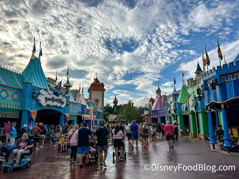 WARNING: Severe Weather May Affect Disney World This Weekend | the ...