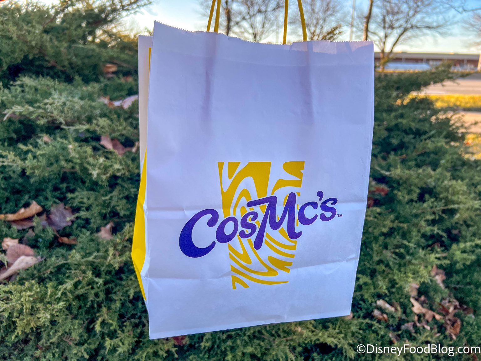 The Single BEST Thing We Ate at the McDonald's Spin-Off Restaurant ...