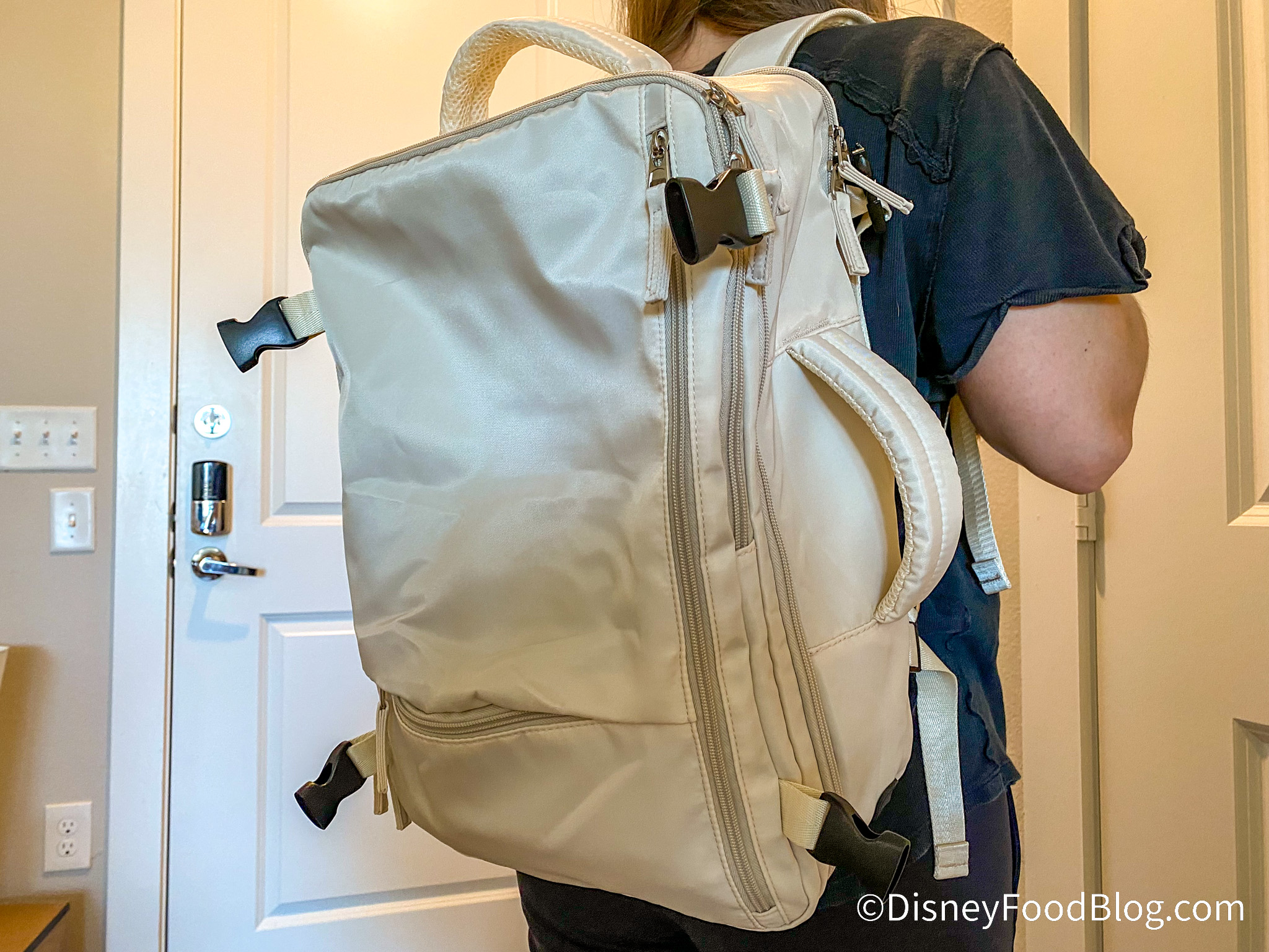 Why Everyone Is Buying This $34 Backpack for Disney World | the disney ...