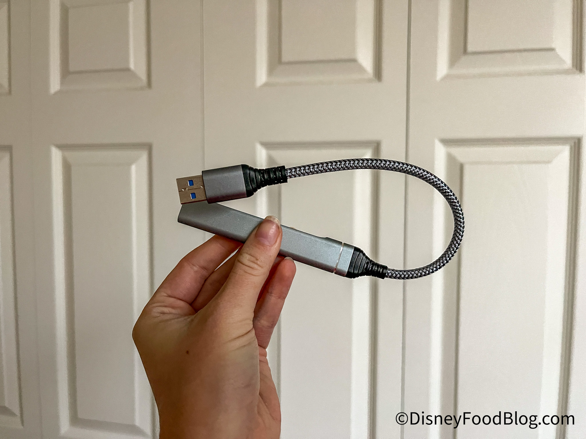 We Go to Disney World Every Day — Here Are the 5 Essentials You Need ...