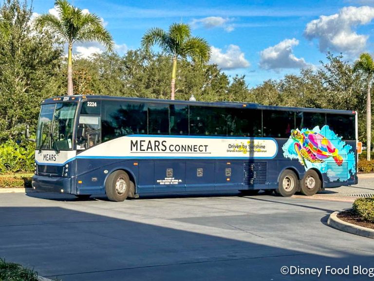 I've Used Every Airport Transportation Service to Disney World and This ...