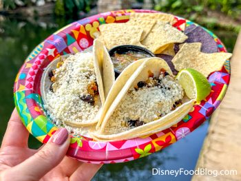 I Ordered the Cheapest Meal in Disney's Animal Kingdom — Here's What I ...