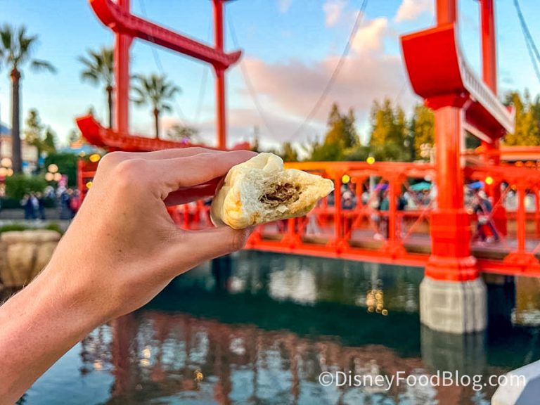 NEWS: Two Brand NEW Additions in Disneyland (One Is Beautiful and One ...