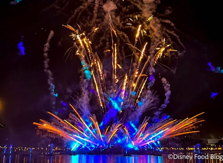 Reservations Are OPEN for the Most EXCLUSIVE Fireworks in Disney World ...