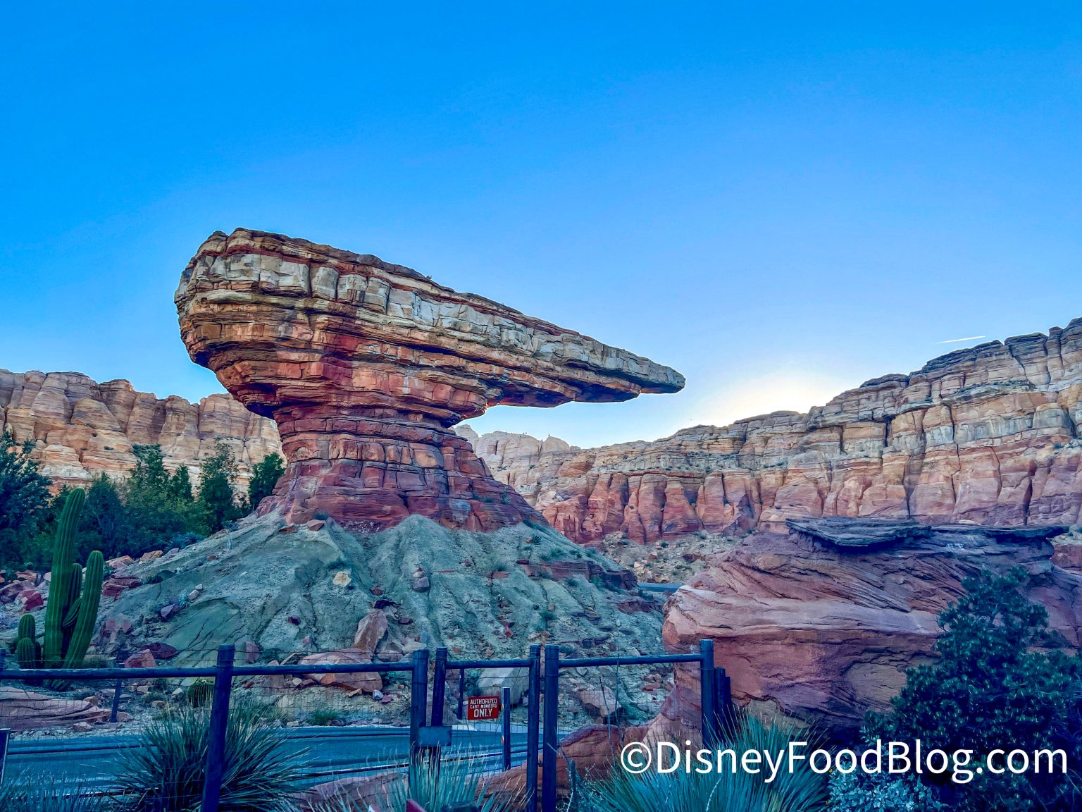 Why Every 'Cars' Fan Is Running To The Disney Store | the disney food blog