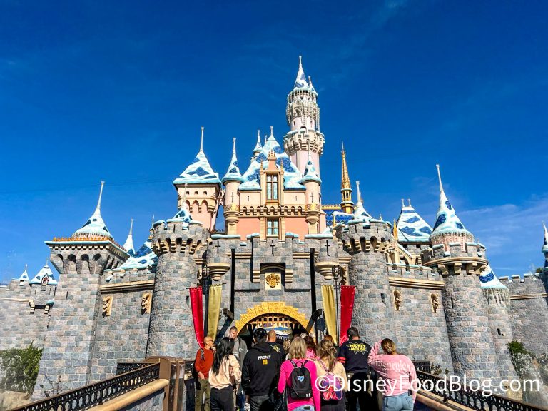 The Best Food At Disneyland For 2024 | the disney food blog