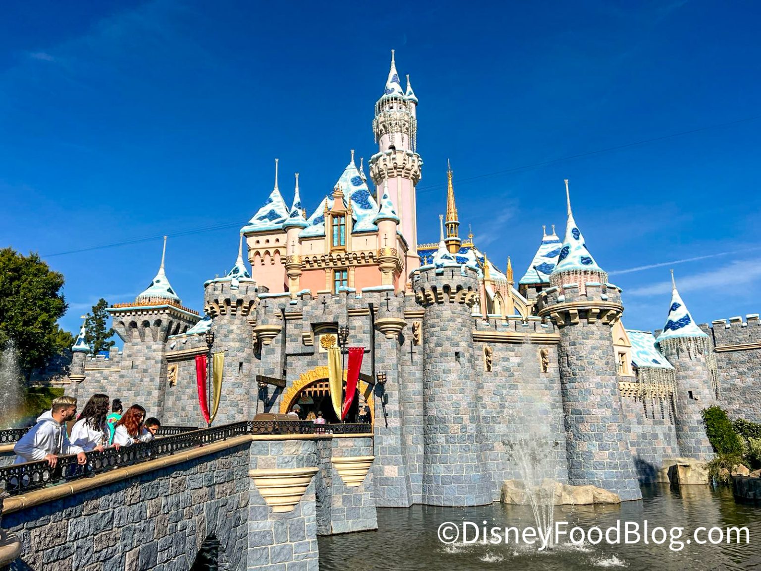DFB Video: 50 Mistakes to AVOID in Disneyland | the disney food blog