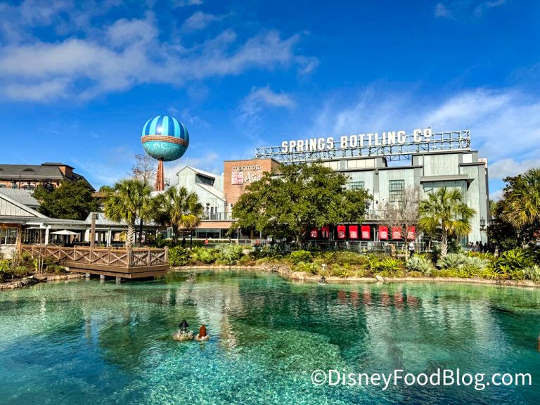 "I Am Living in the Living Room Without Any Privacy" — Disney Springs ...