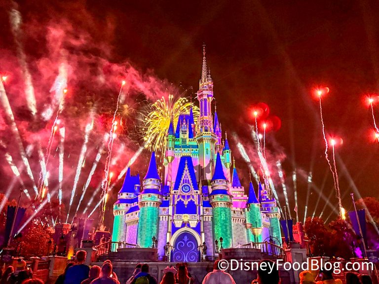 Magic Kingdom Just Announced HUGE Fireworks NEWS! | the disney food blog