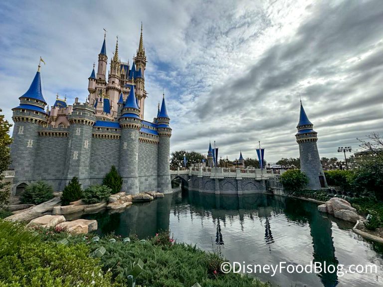 My Honest Must-Haves for Magic Kingdom | the disney food blog