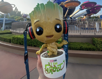 The 20 Best Disney Popcorn Buckets of 2024 | the disney food blog