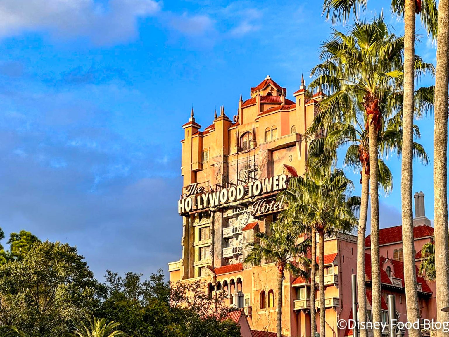 50 AMAZING Things You Never Knew Were in Disney's Hollywood Studios ...
