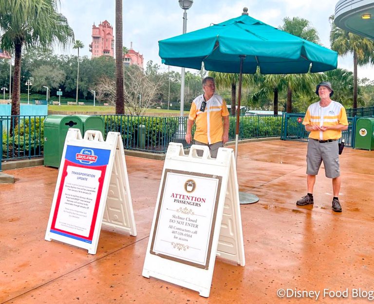 5 Things You Will Only Know About Someone If You Take Them to Disney ...