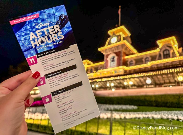 ALL of the Disney World Rides That Interact With MagicBand+ | the ...