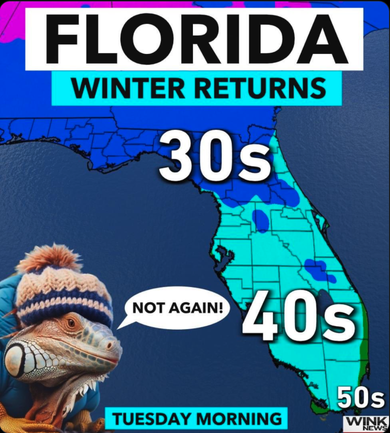 Florida Is Participating in Winter This Week — Watch Out for COLD Temps ...