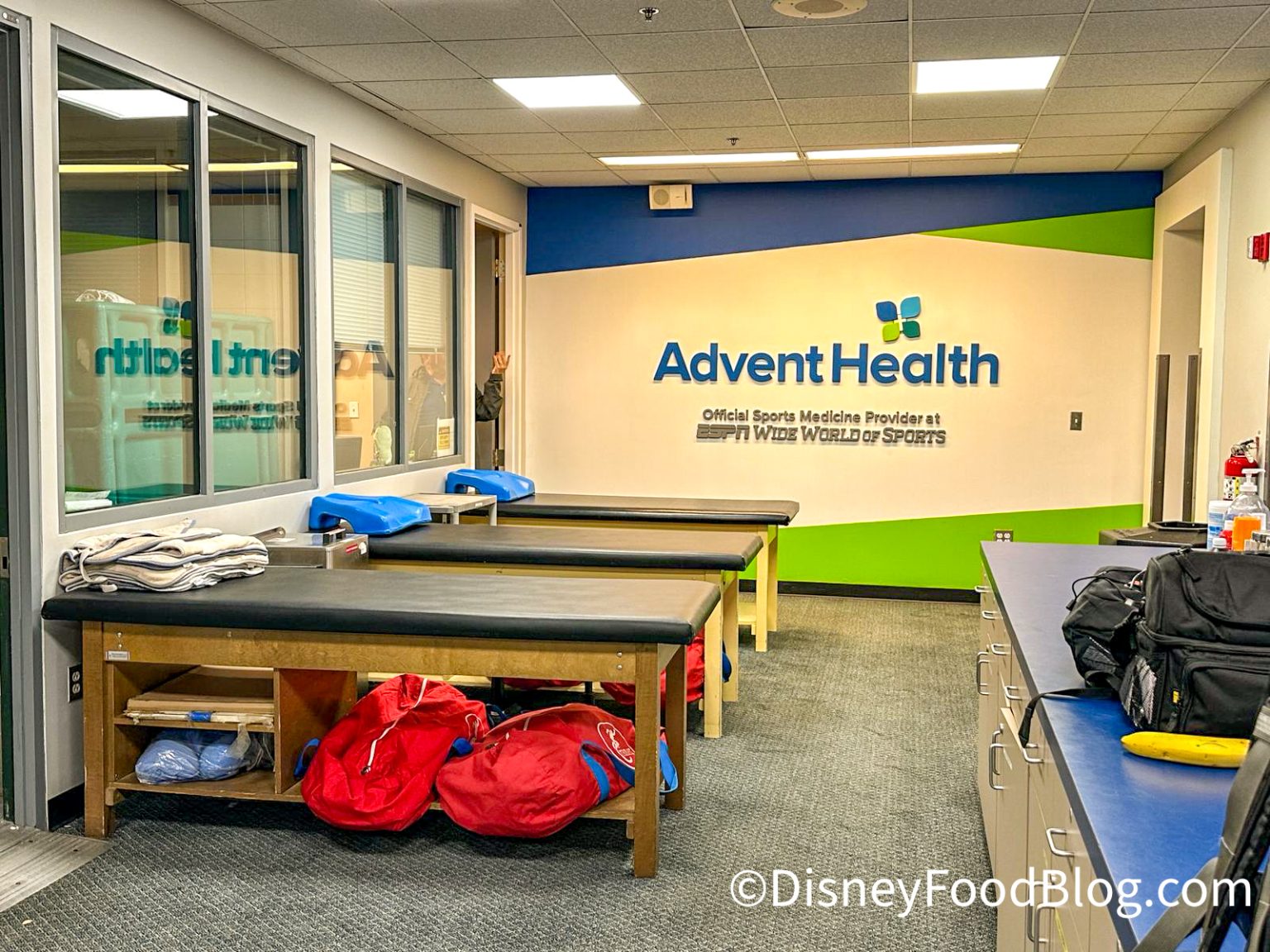What You Need To Know About the NEW Flu Strain Before Heading to Disney ...