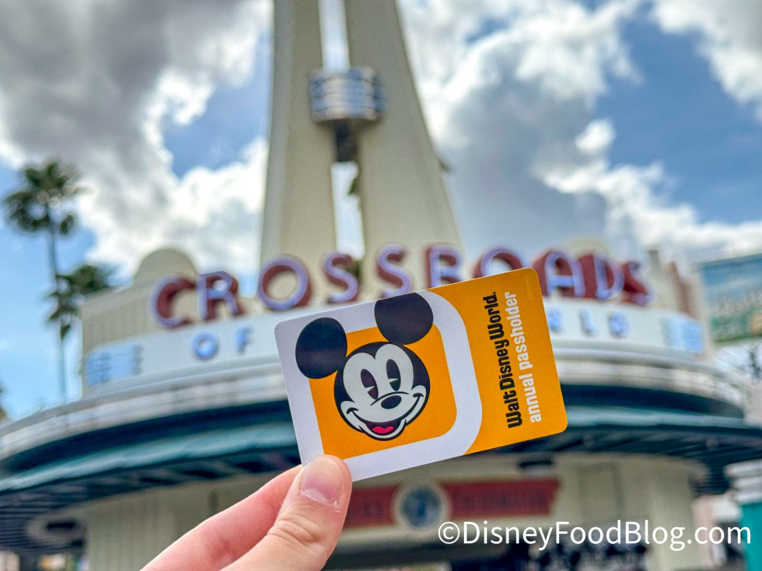 A FREE Souvenir for Annual Passholders Just Arrived in Disney World ...