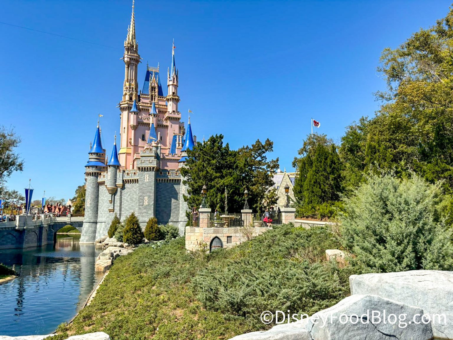 I Travel to Disney World 20 Times a Year. This Is How I Keep My Skin ...